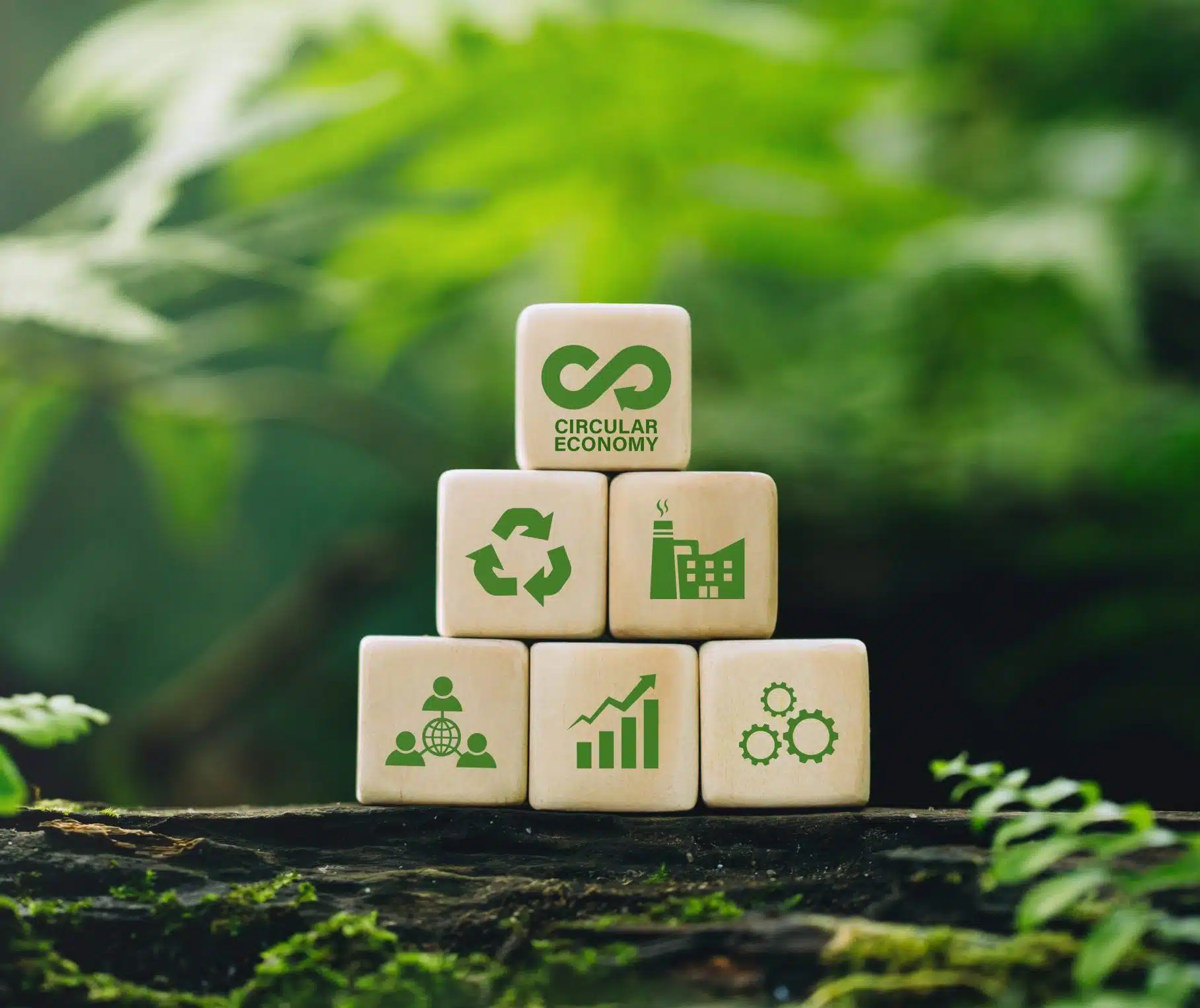 Carbon Removal Strategy: ADC's Path to Net-Positive